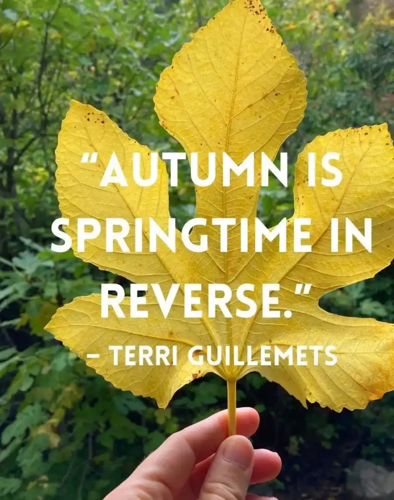 69 Inspiring Hello September Quotes 2025: Welcoming the Month with ...