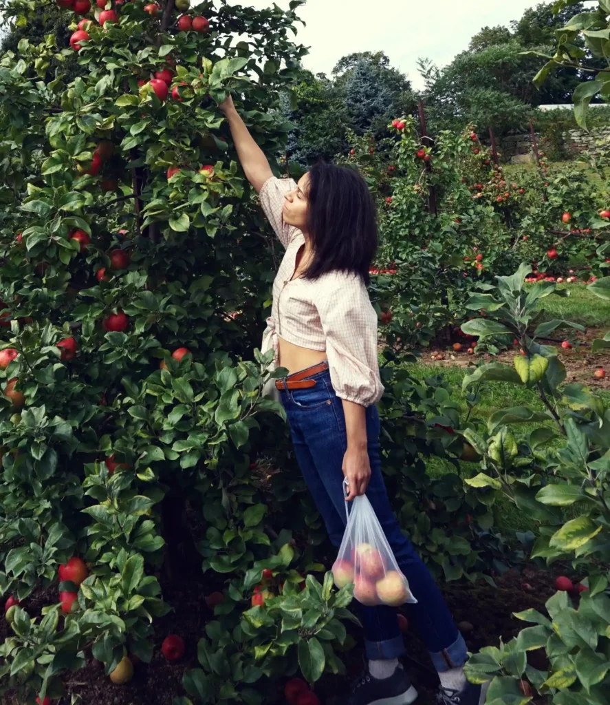 102 Apple Picking Outfit Ideas 2025 - NewForestSafari