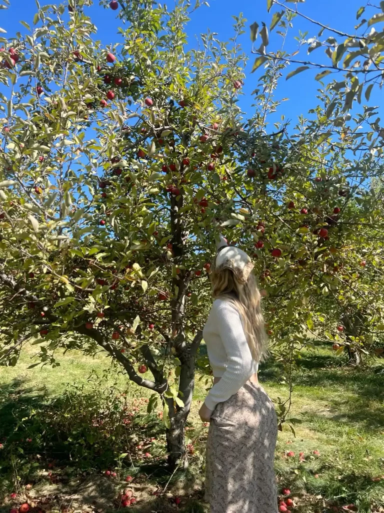 102 Apple Picking Outfit Ideas 2025 - NewForestSafari