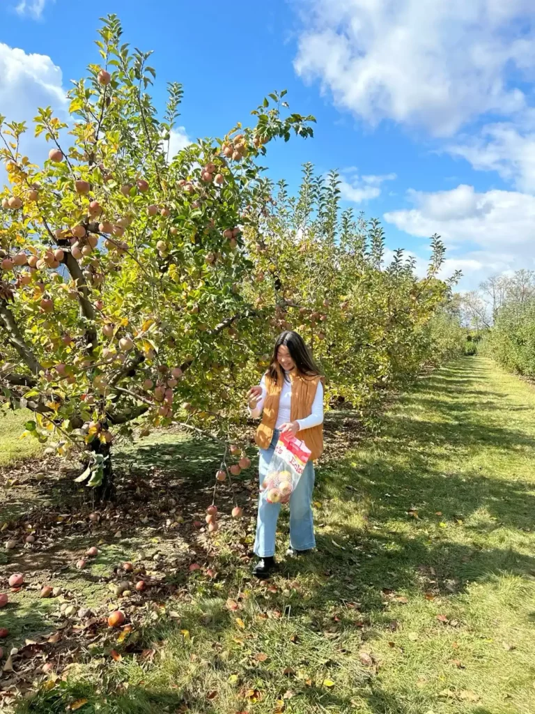 102 Apple Picking Outfit Ideas 2025 - NewForestSafari