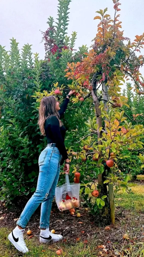 102 Apple Picking Outfit Ideas 2025 - NewForestSafari