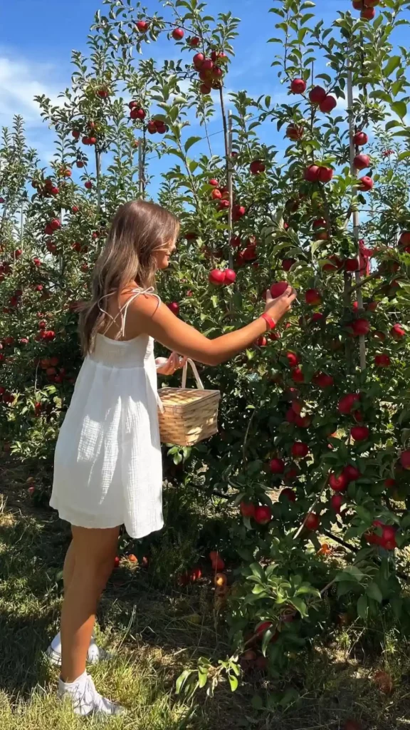 102 Apple Picking Outfit Ideas 2025 - NewForestSafari