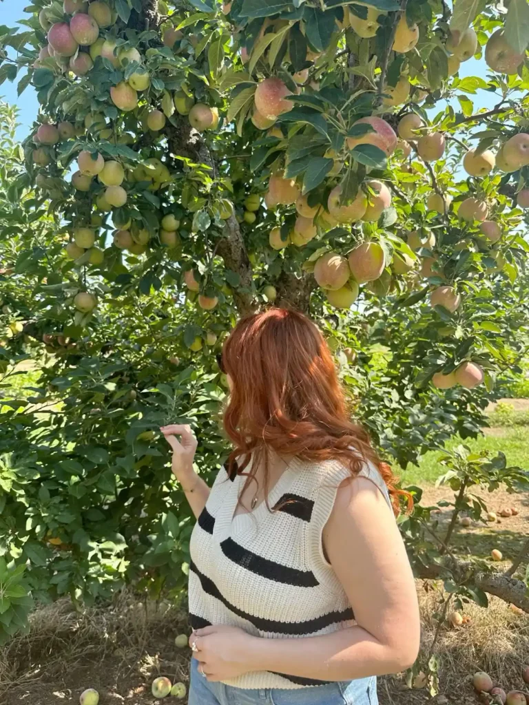 102 Apple Picking Outfit Ideas 2025 - NewForestSafari