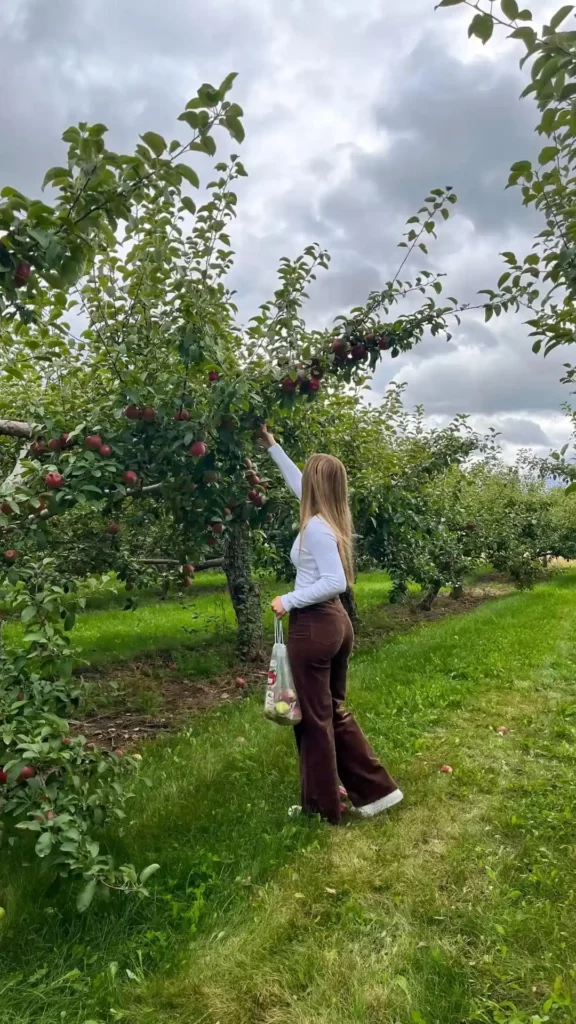 102 Apple Picking Outfit Ideas 2025 - NewForestSafari