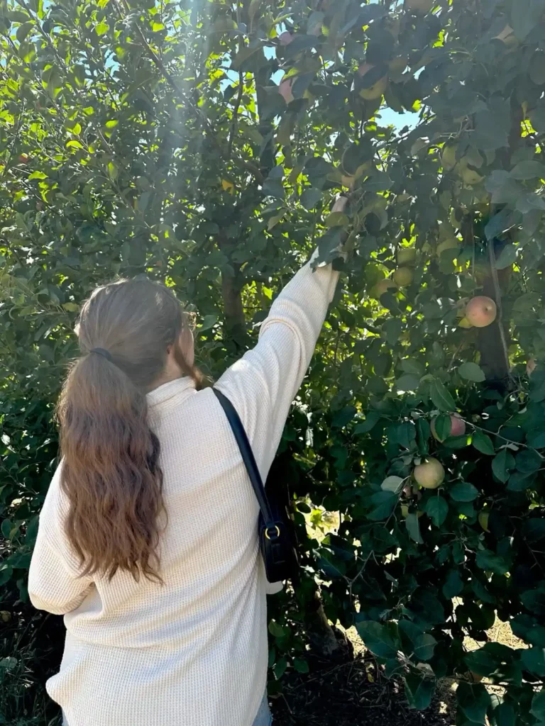 102 Apple Picking Outfit Ideas 2025 - NewForestSafari