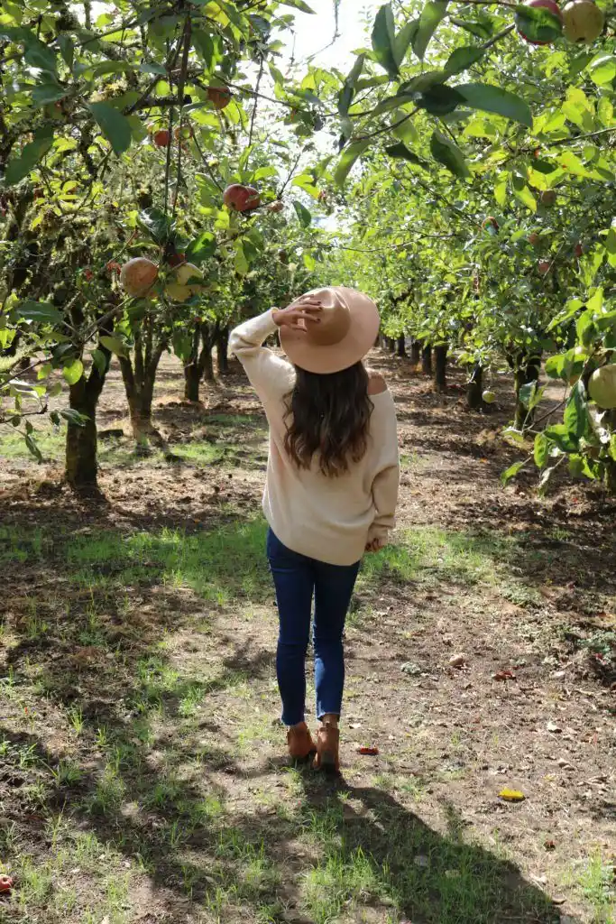 102 Apple Picking Outfit Ideas 2025 - NewForestSafari