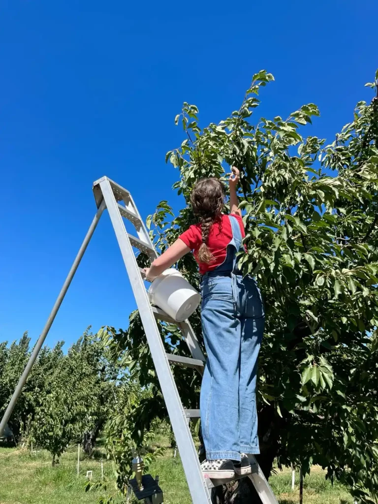 102 Apple Picking Outfit Ideas 2025 - NewForestSafari