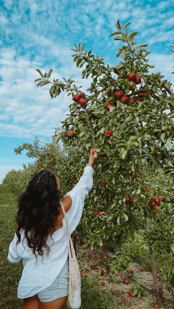 102 Apple Picking Outfit Ideas 2025 - NewForestSafari